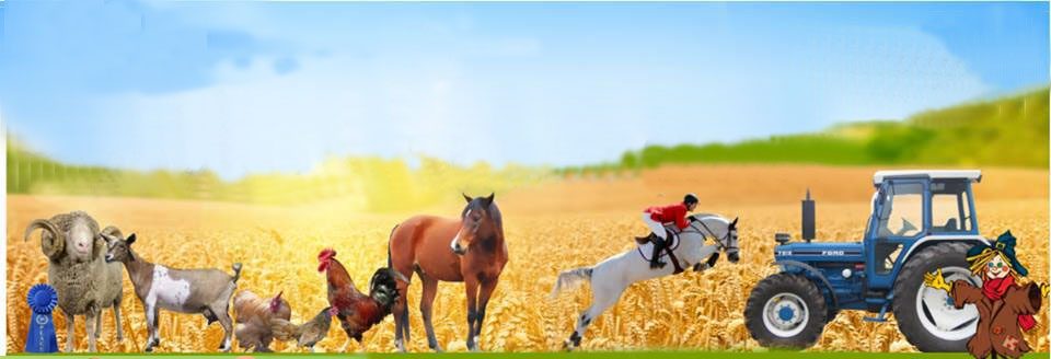 Cappamore Show | Cappamore /An Cheapach Mhór